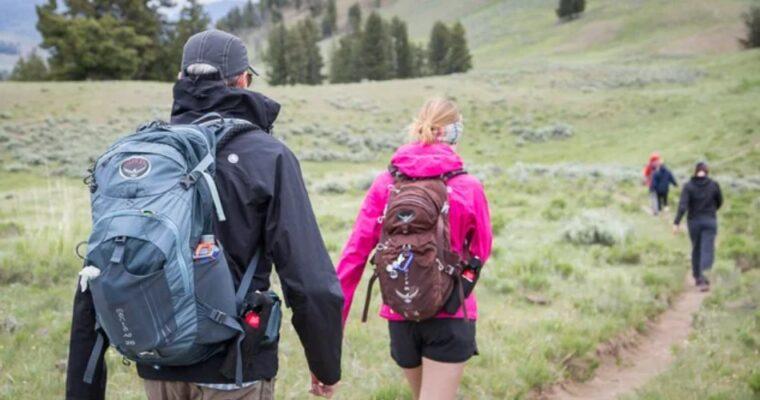 Why do hikers wear bells: discover 10+ facts