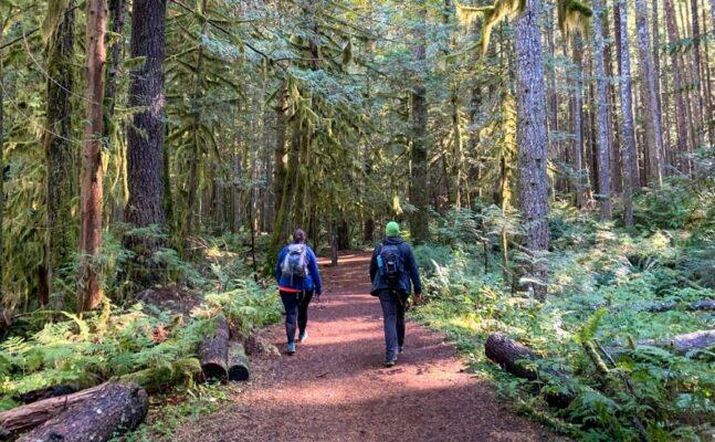 What Does Out and Back Trail Mean? The Optimal Guide 2024