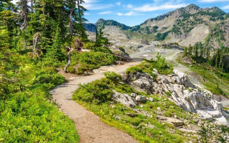What Does Out and Back Trail Mean? The Optimal Guide 2024