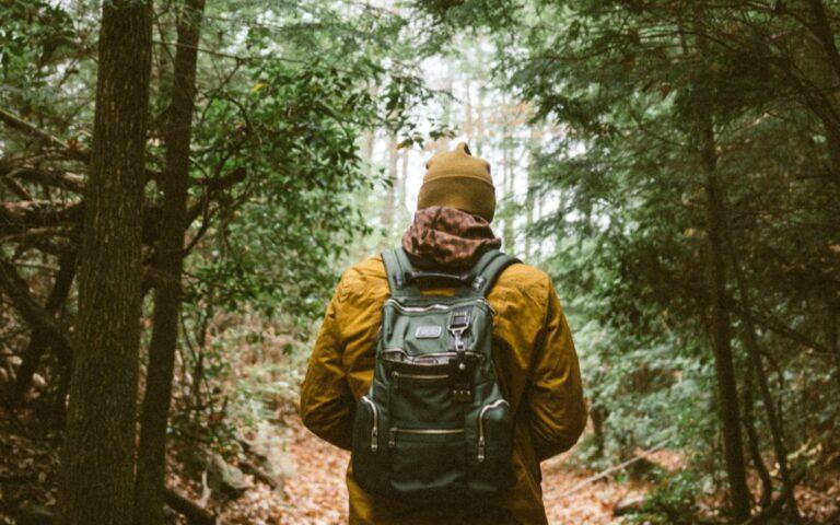 What Does Out and Back Trail Mean? The Optimal Guide 2024